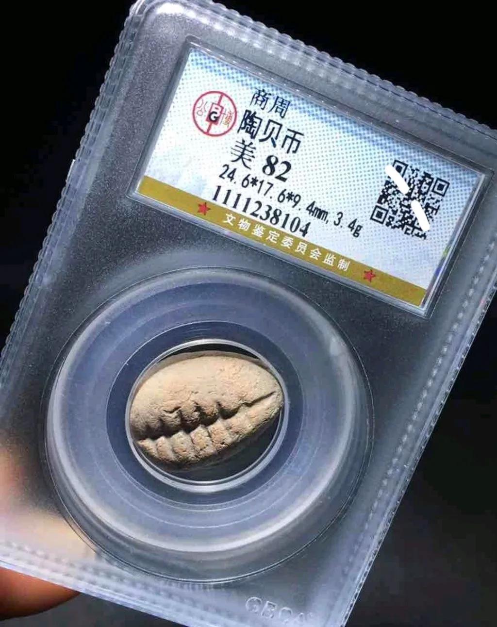 The first issue of Chinese ancient coin knowledge - shells originated ...
