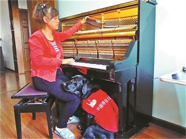 Current status of guide dog Jenny: She has retired, and her greatest ...