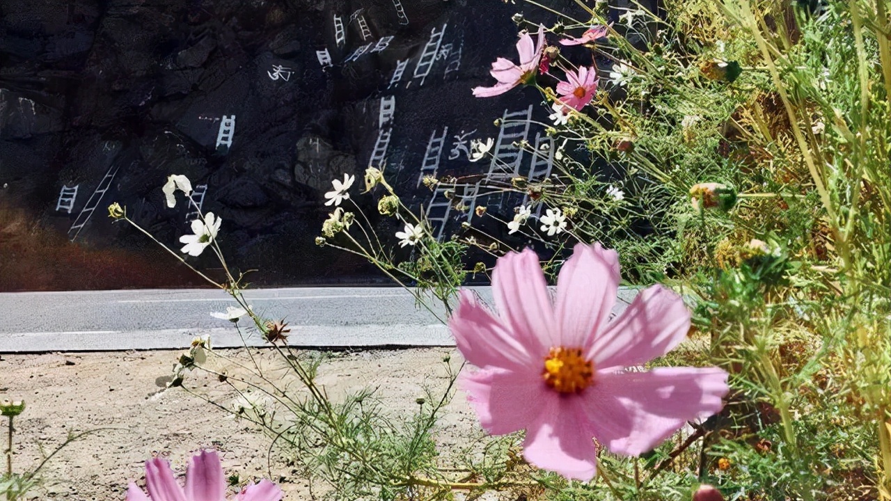The legendary rock "ladder" that leads to the holy land - iMedia
