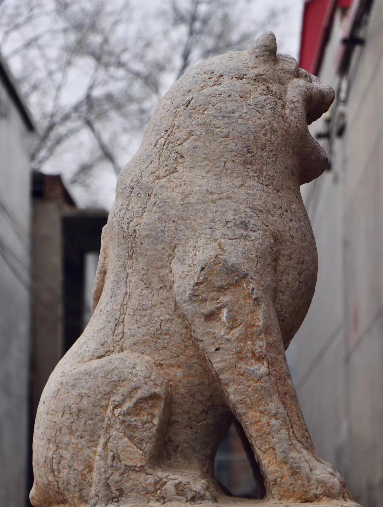 Auspicious beast - Shihu - iMedia