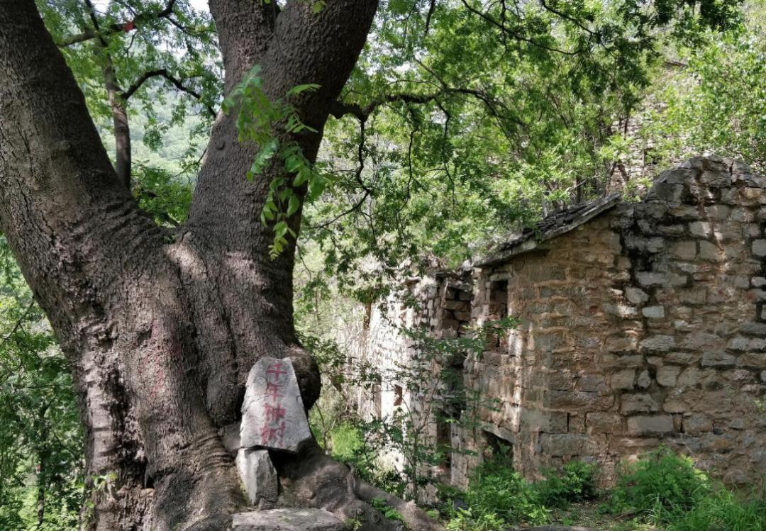 The expedition did not dare to spend the night after breaking in. How ...