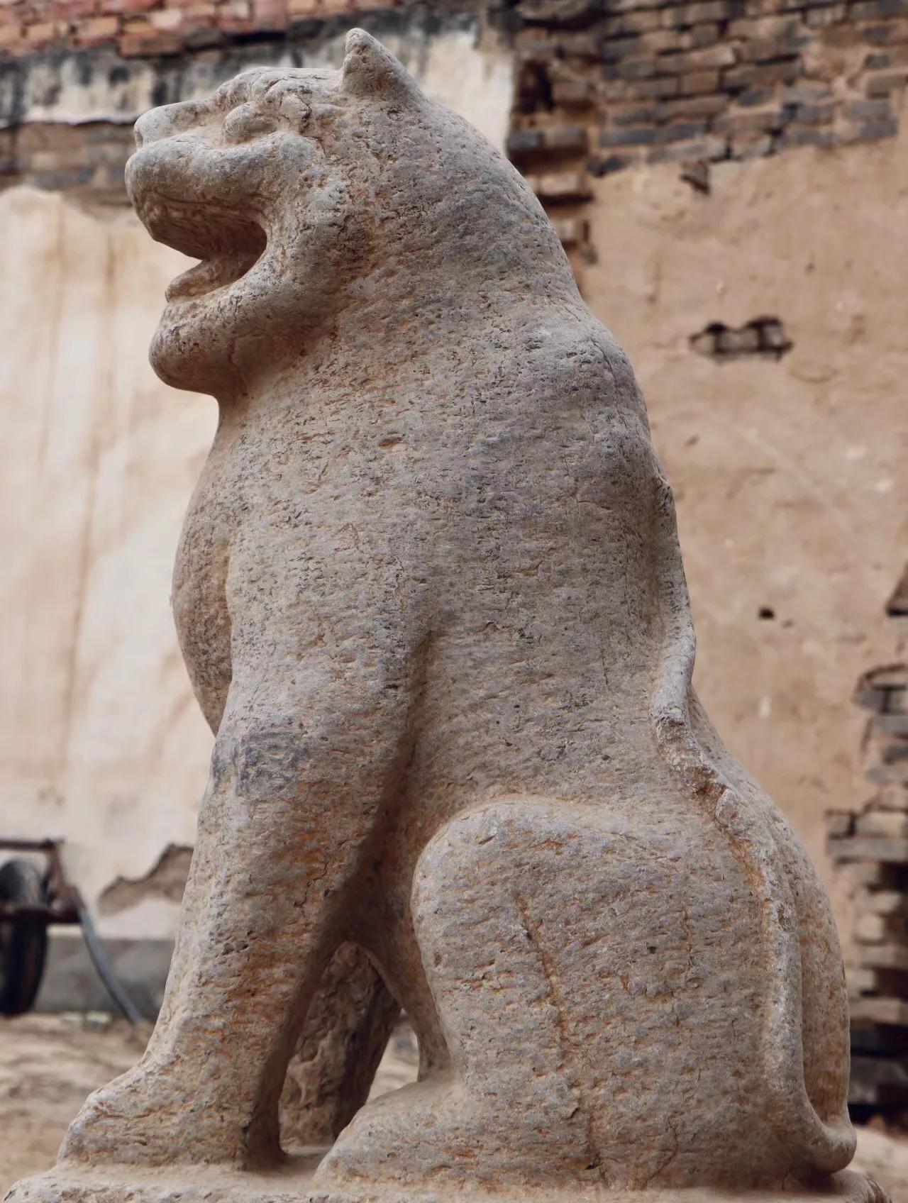 Auspicious beast - Shihu - iMedia