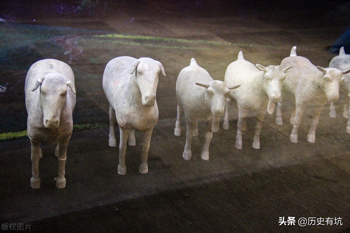 Why did Emperor Jing of Han want to kill Zhou Yafu?Became a scapegoat ...