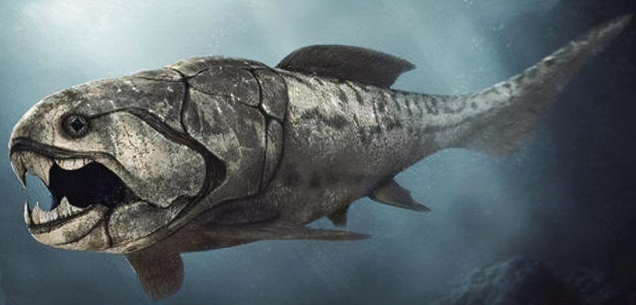 Did humans evolve from a fish to Homo sapiens? - iMedia