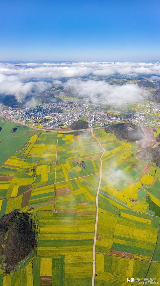 The Luoping rapeseed flower viewing tips summarized by photography ...
