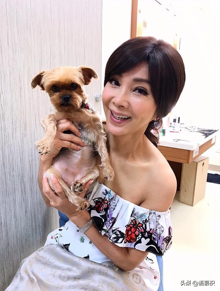 "The most beautiful Obasan" Chen Meifeng returns to the show!Expose the ...