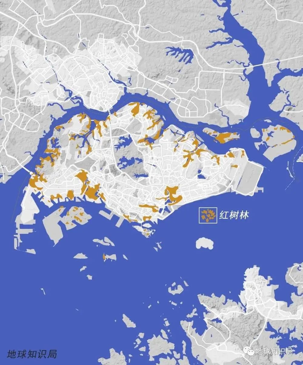Singapore is getting bigger and bigger - iMedia