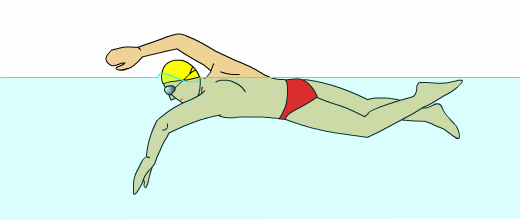 Swim freestyle, often arm soreness and weakness?Wrong force - iMedia