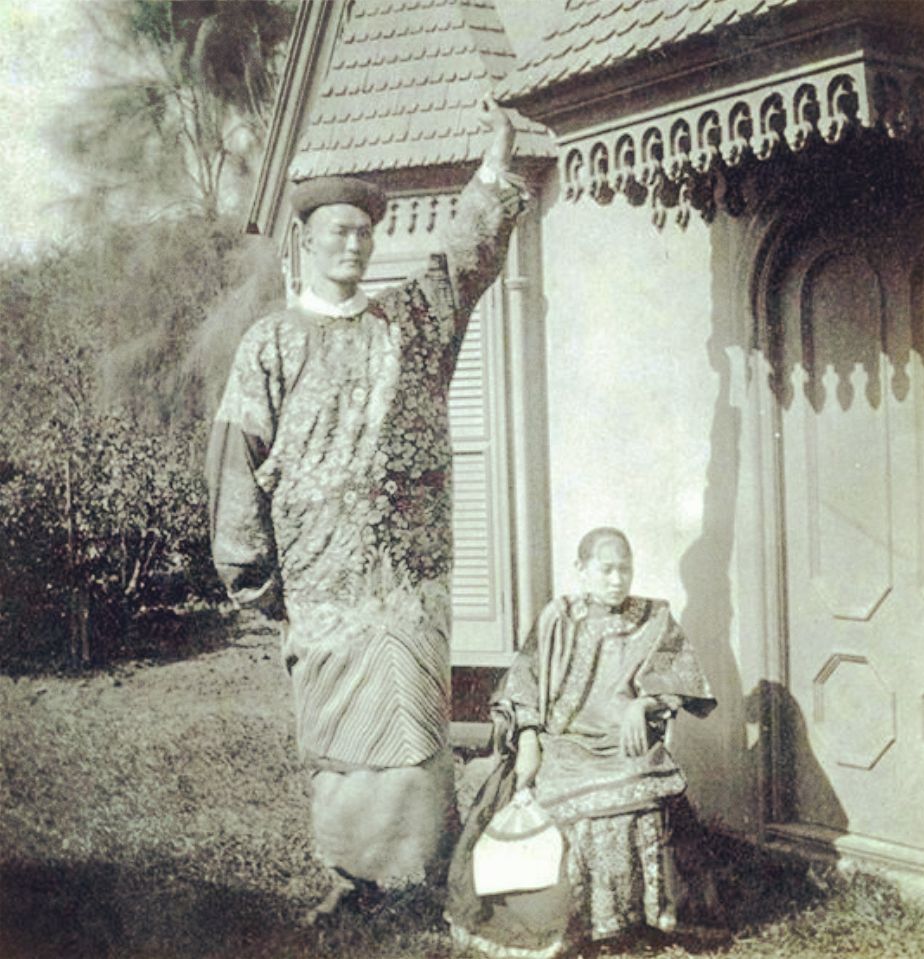 How tall can a human be?The tallest is 3.61 meters, their height is ...