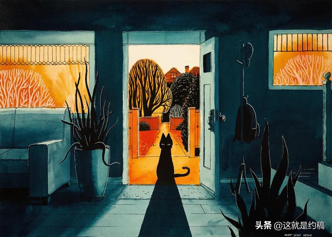 Illustrator introduces MATT SCHU - iMedia