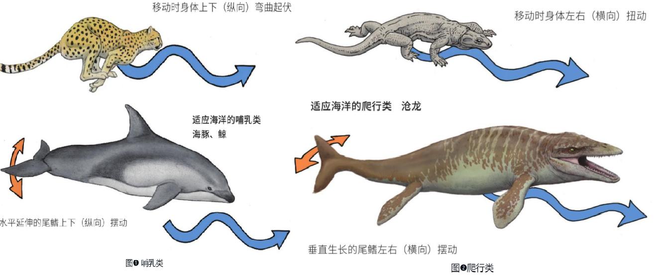 Body swap with animals - Lizardmen - iMedia