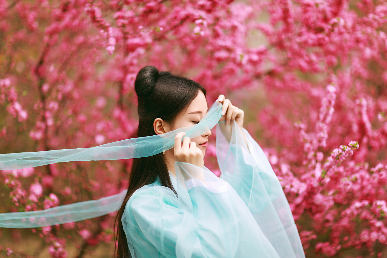 Cui Hu's "Tiducheng Nanzhuang": Why did the peach blossom with human ...