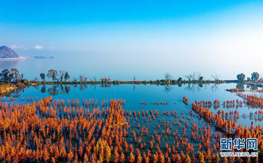 "Colorful" Yunnan in Warm Winter - iMedia