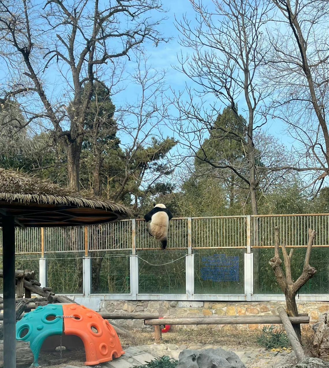 Why is Kung Fu Panda "Escape" over the wall? - iMedia