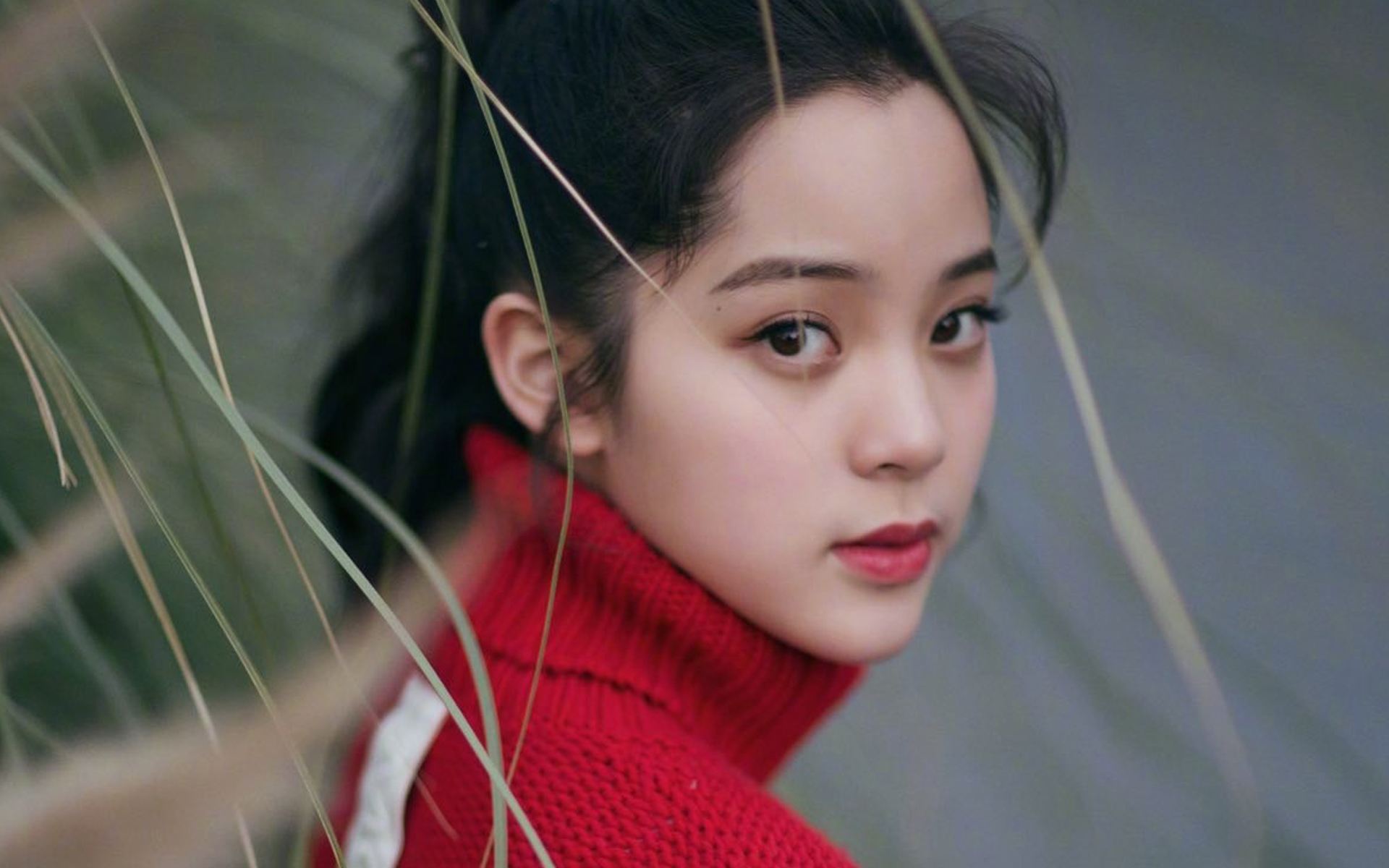 Little gossip: Ouyang Nana, Yang Jue, Cai Wenjing, Qiao Xin, Bai Baihe ...