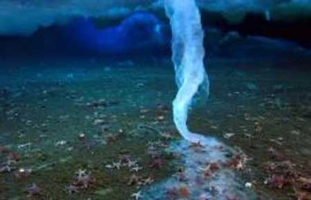 Terrifying Antarctic Death Icicles, Suspected Origin of Earth's Life ...