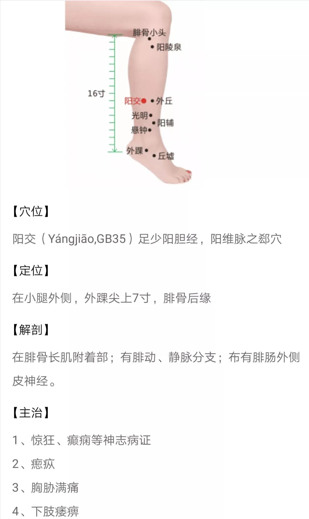 The role of acupoints in the human body - iMedia