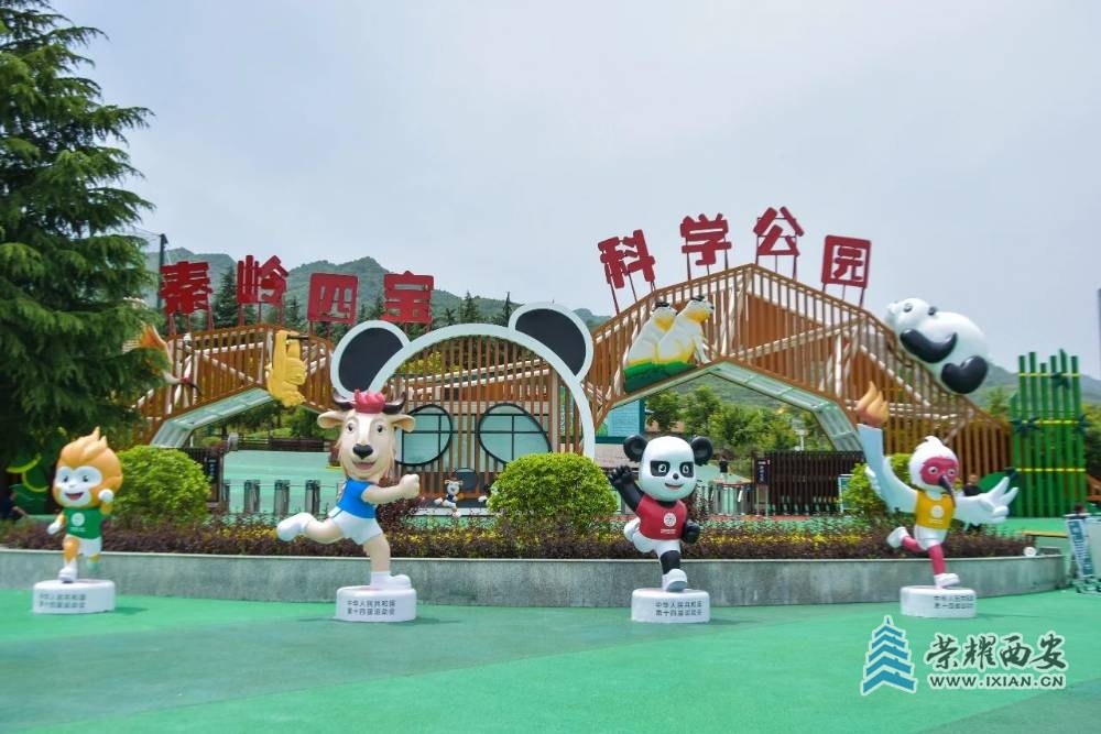 Bing Dun Dun is too hard to buy?Come here to show you the real ...