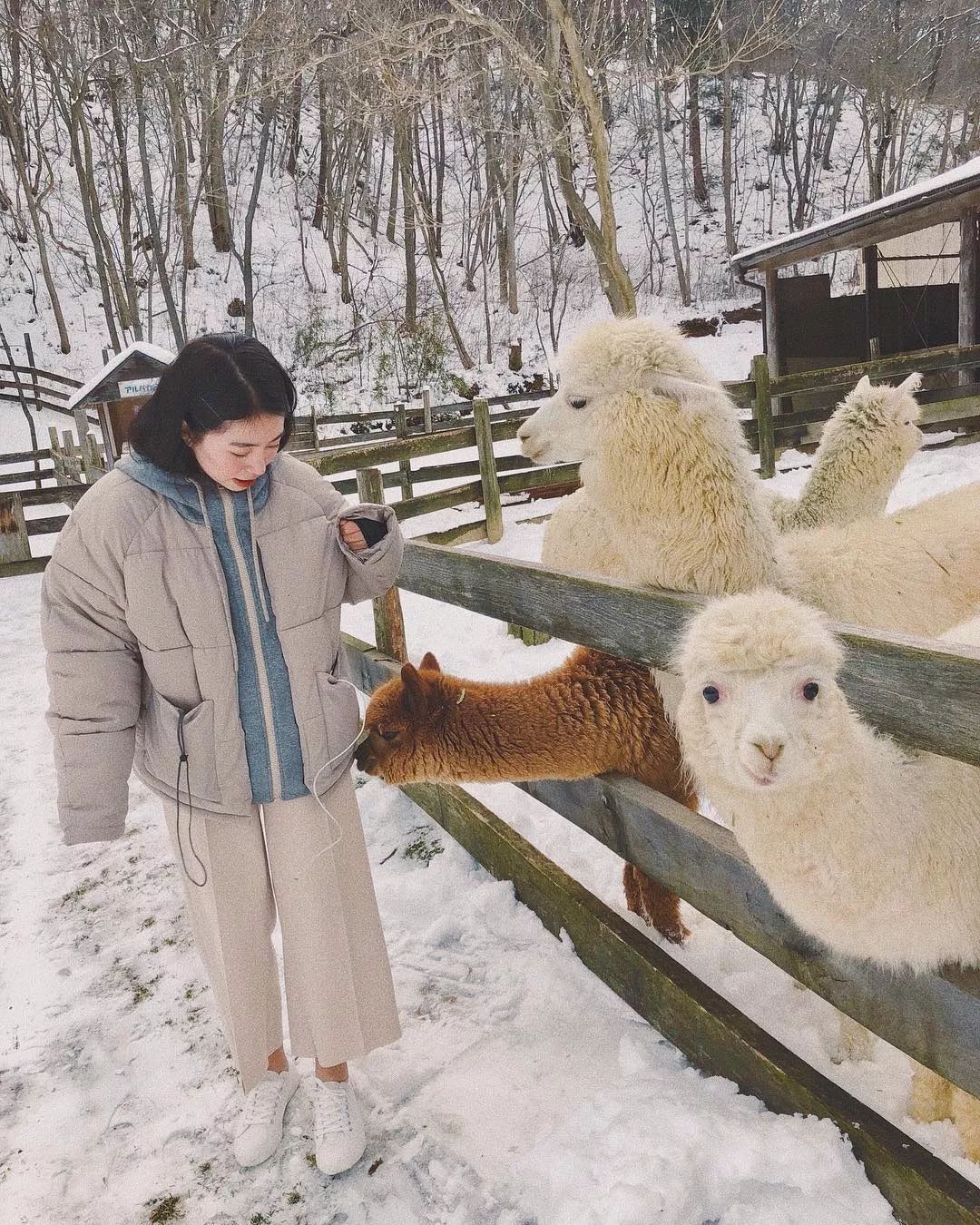 Unnatural facial expressions when taking photos?Teach you a few daily ...