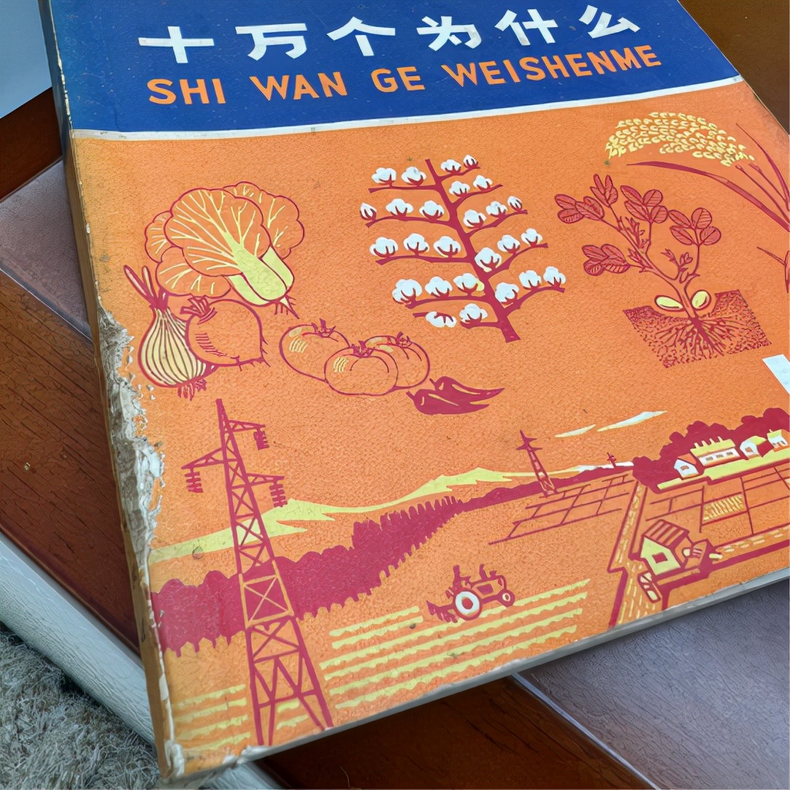 From "know seeker" to "explorer", the 60-year story of Grandma Wu and ...