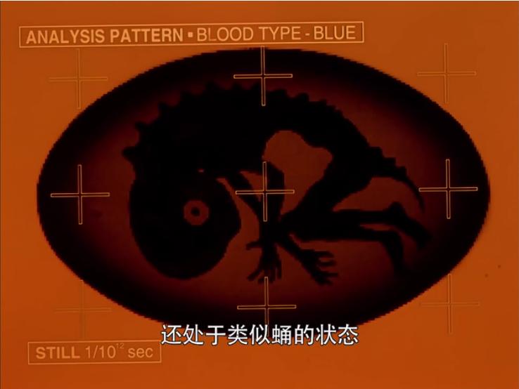 "Neon Genesis Evangelion" the eighth apostle "fetal angel", a lava ...