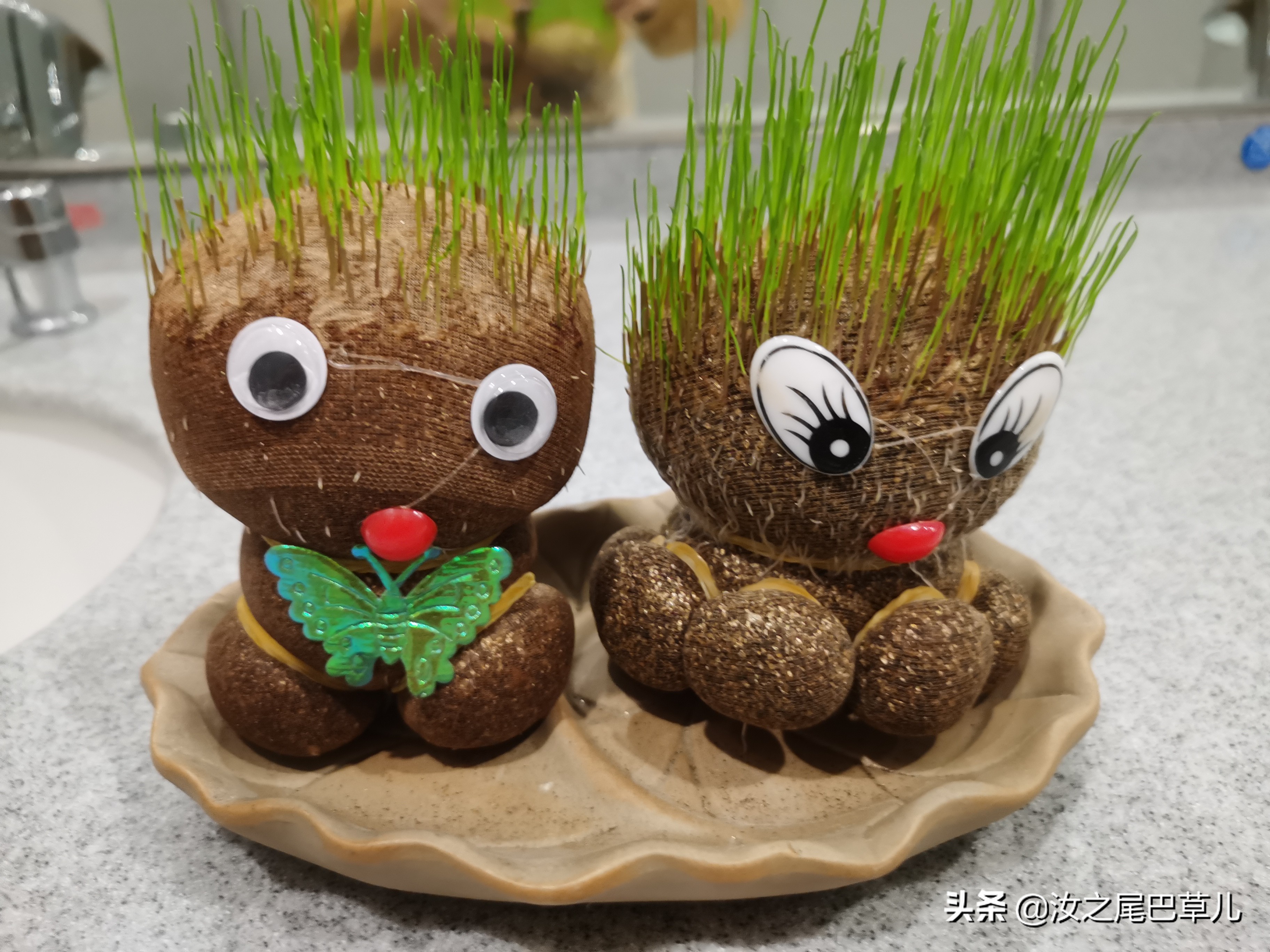 Really Zero Failure Green Plants: Grass Head Dolls, Fun and Cute - iMedia
