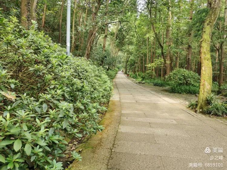 One-by-one tour of the Millennium Dream Spring Hangzhou Hupao Spring ...