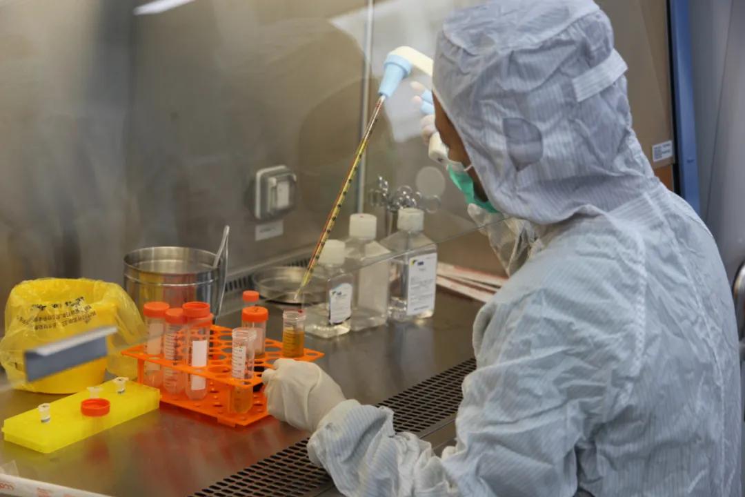 How long can cells survive?Let's talk about the freezing of cells today ...