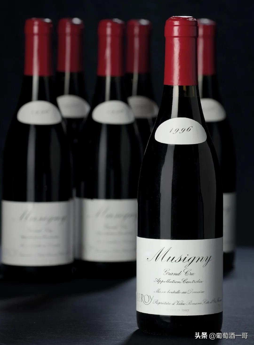 The tight wallet series: a guide to the world's most expensive grape ...