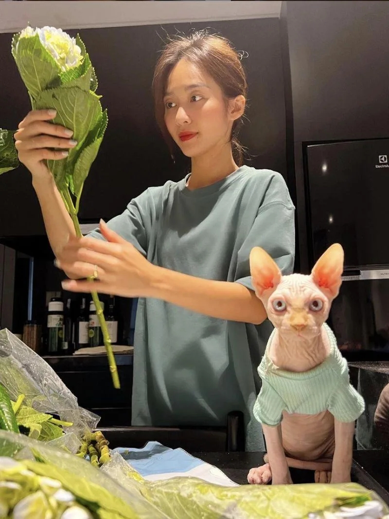 Vietnam's most beautiful boxer, Li Yan, once popular in Asia, do you ...