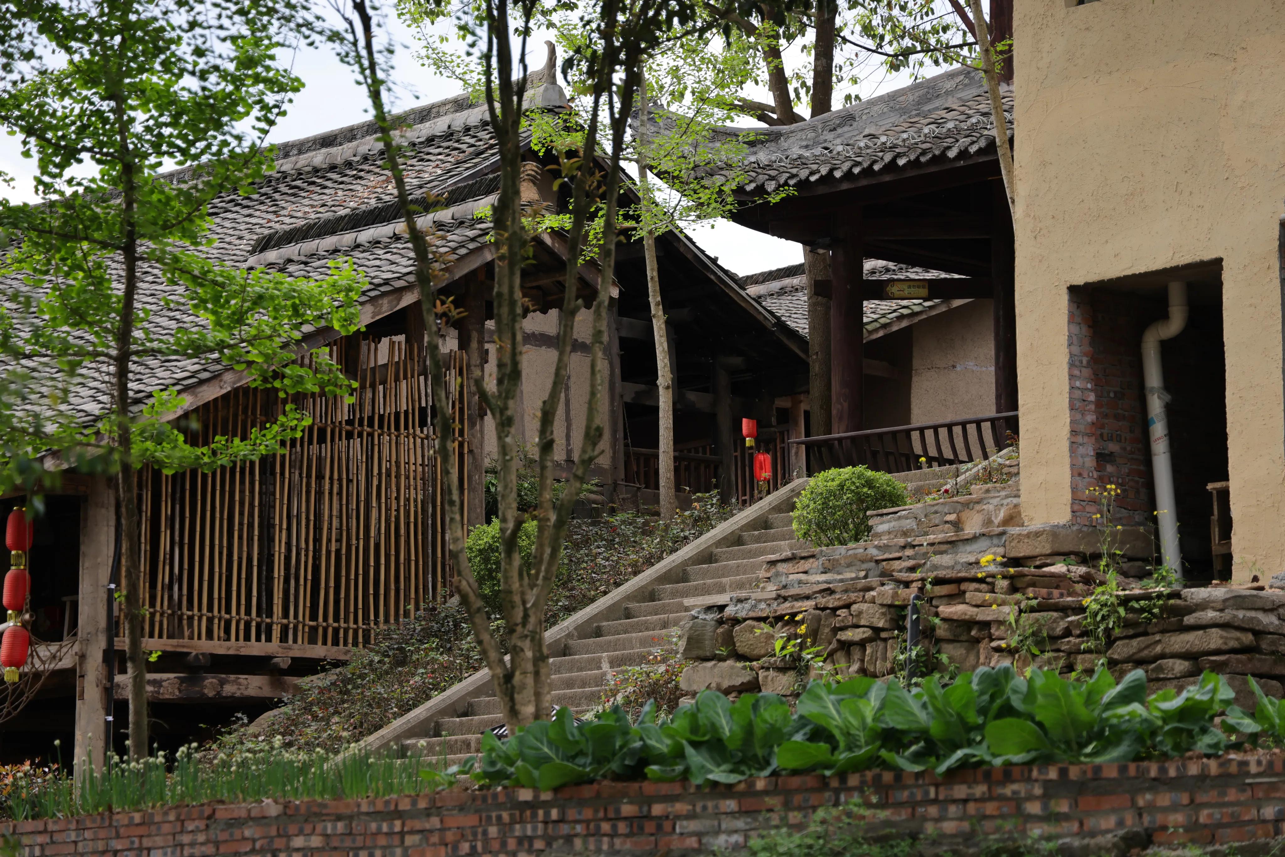 Berlin Old Town Tour - iMedia