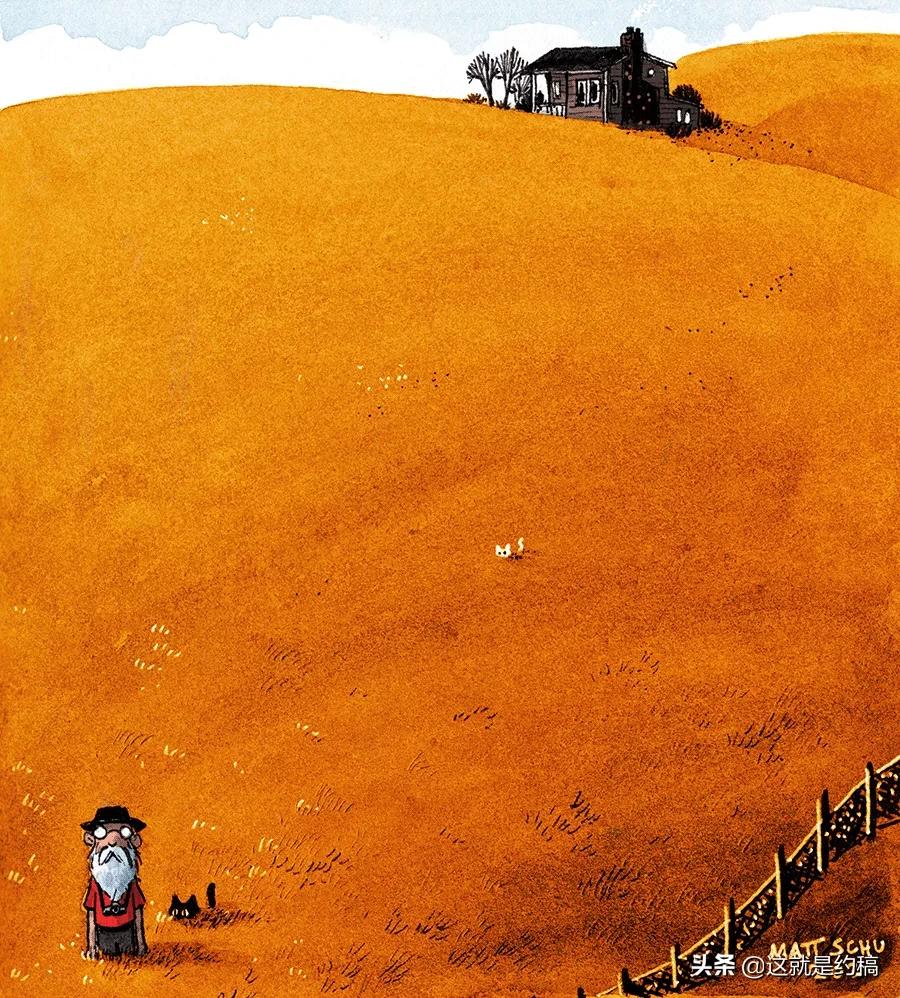 Illustrator introduces MATT SCHU - iMedia