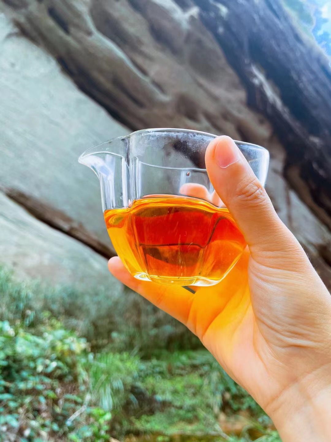 Wuyi Rock Tea Jiulongyu Brand Dahongpao Tea for Spring Festival - iMedia