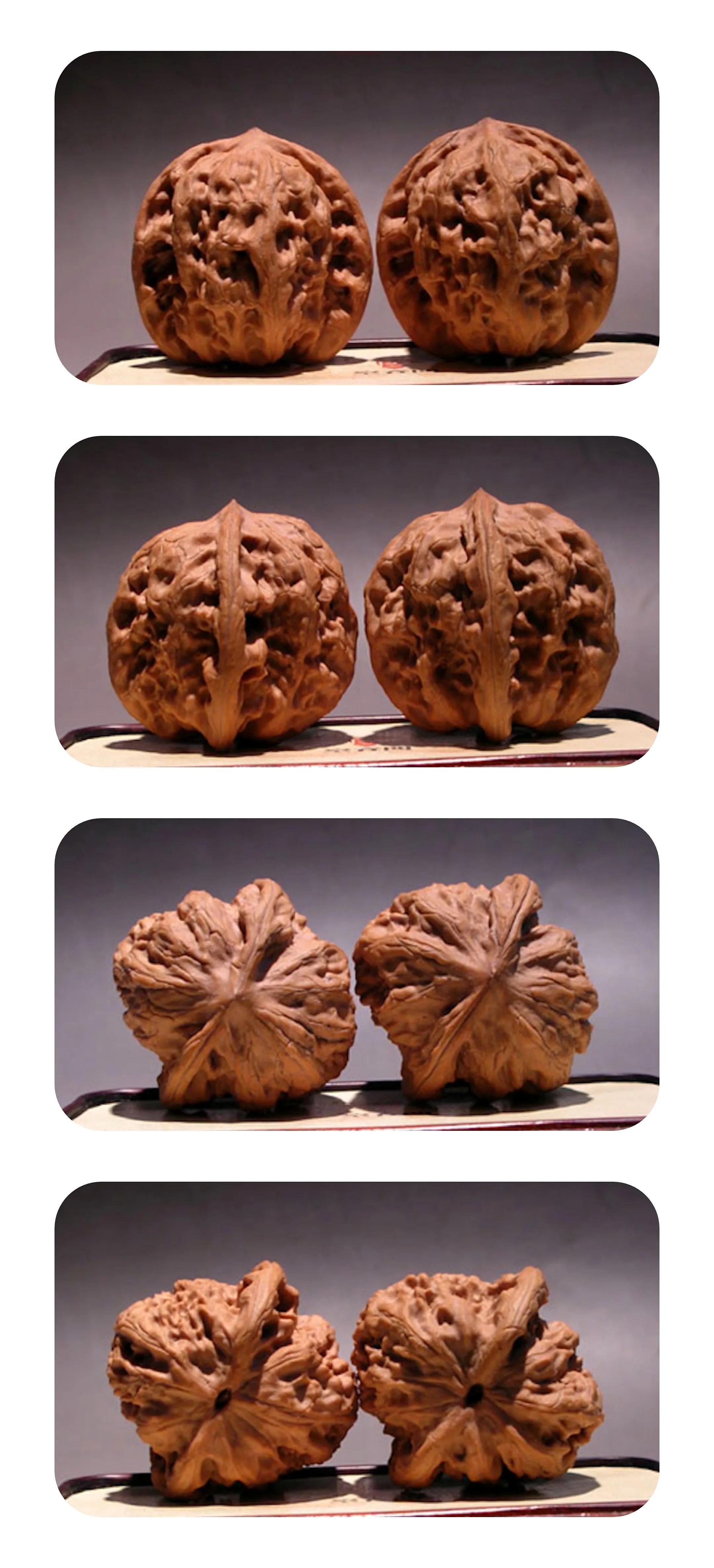 Wenwan Walnut of Langya Mountain - iMedia