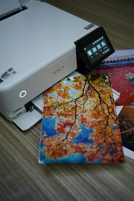 Have a professional image output workstation at home - Epson L8168 ...
