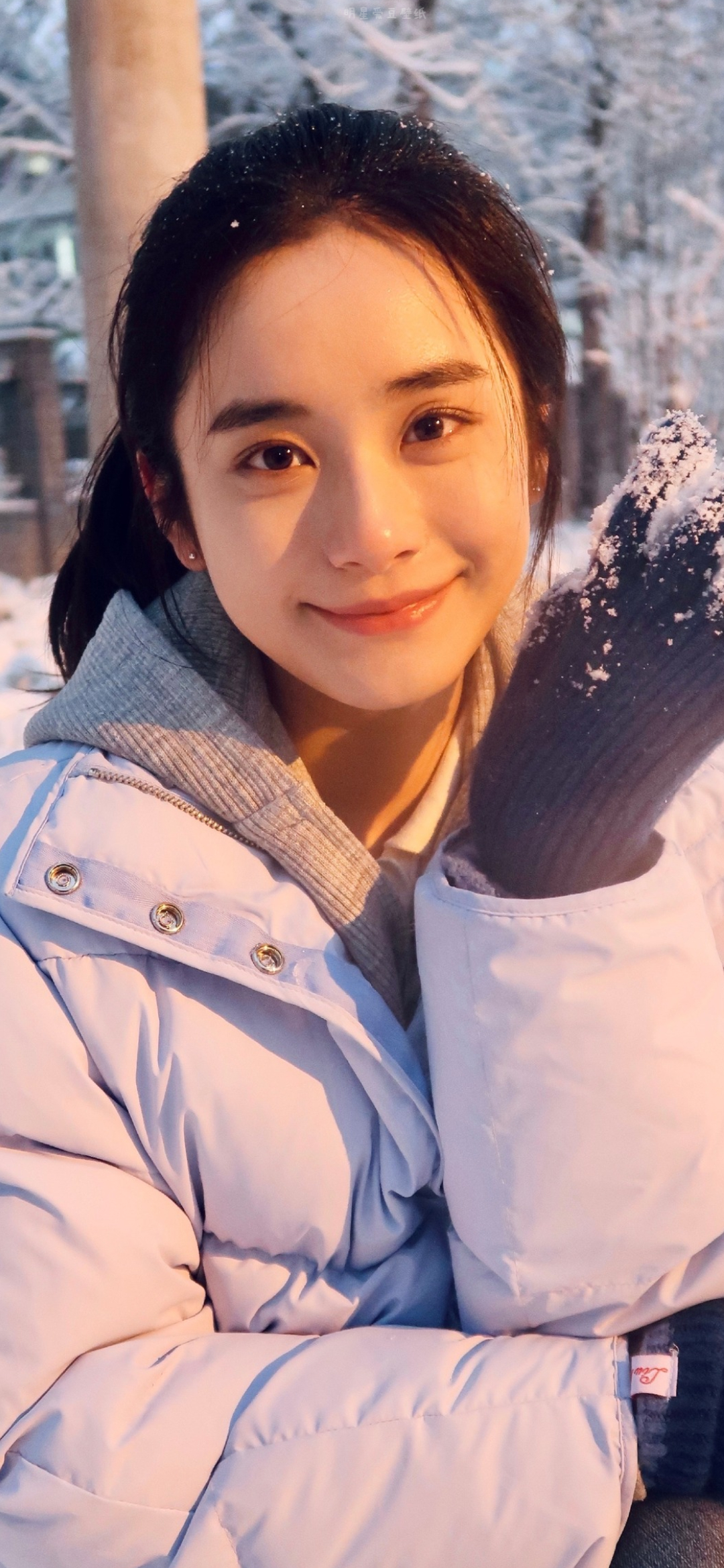 Fan Shiran wallpaper - iMedia