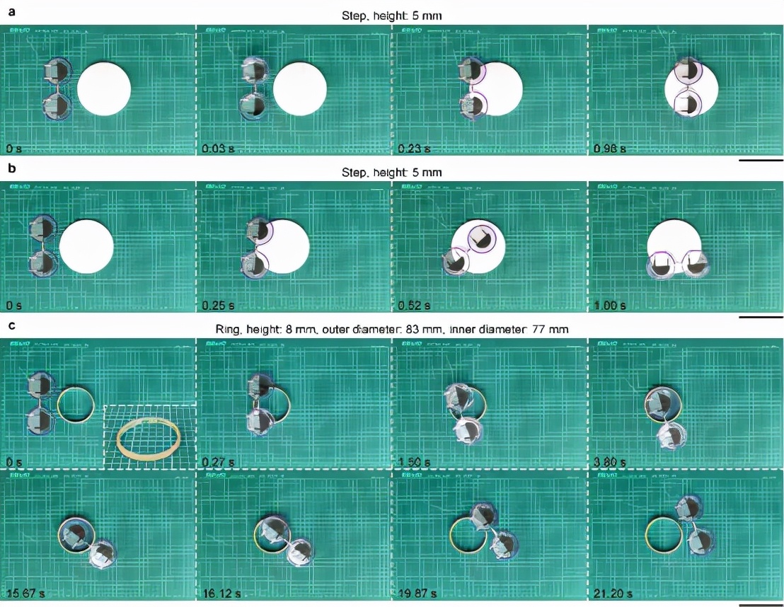 A 34-year-old Chinese scientist developed a "legless" soft robot that ...